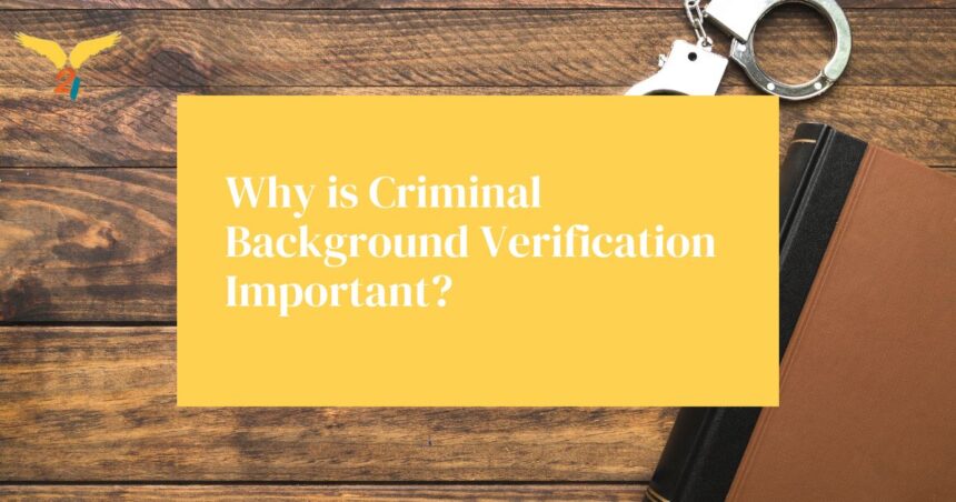 Why is Criminal Background Verification Important?